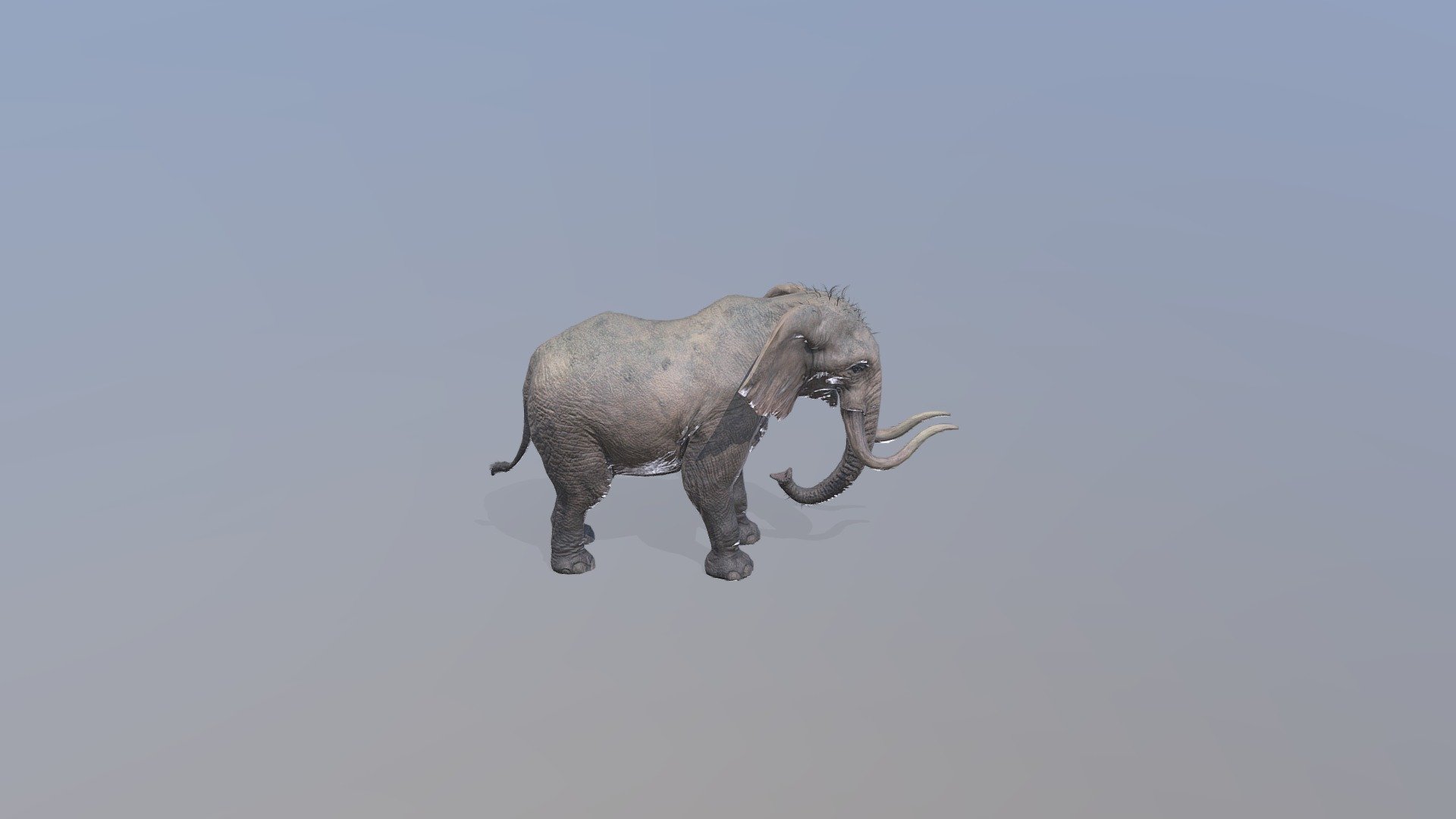 iPedia | Ο ελέφαντας και τα πέλματα του - 3D model by iPedia [3687127 ...
