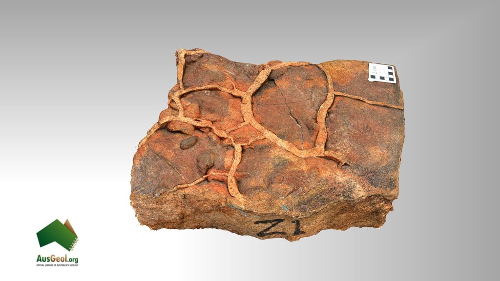 Sedimentary Structures - A 3D model collection by drdlayton - Sketchfab