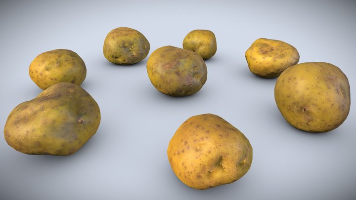 Potatoes 3D models - Sketchfab
