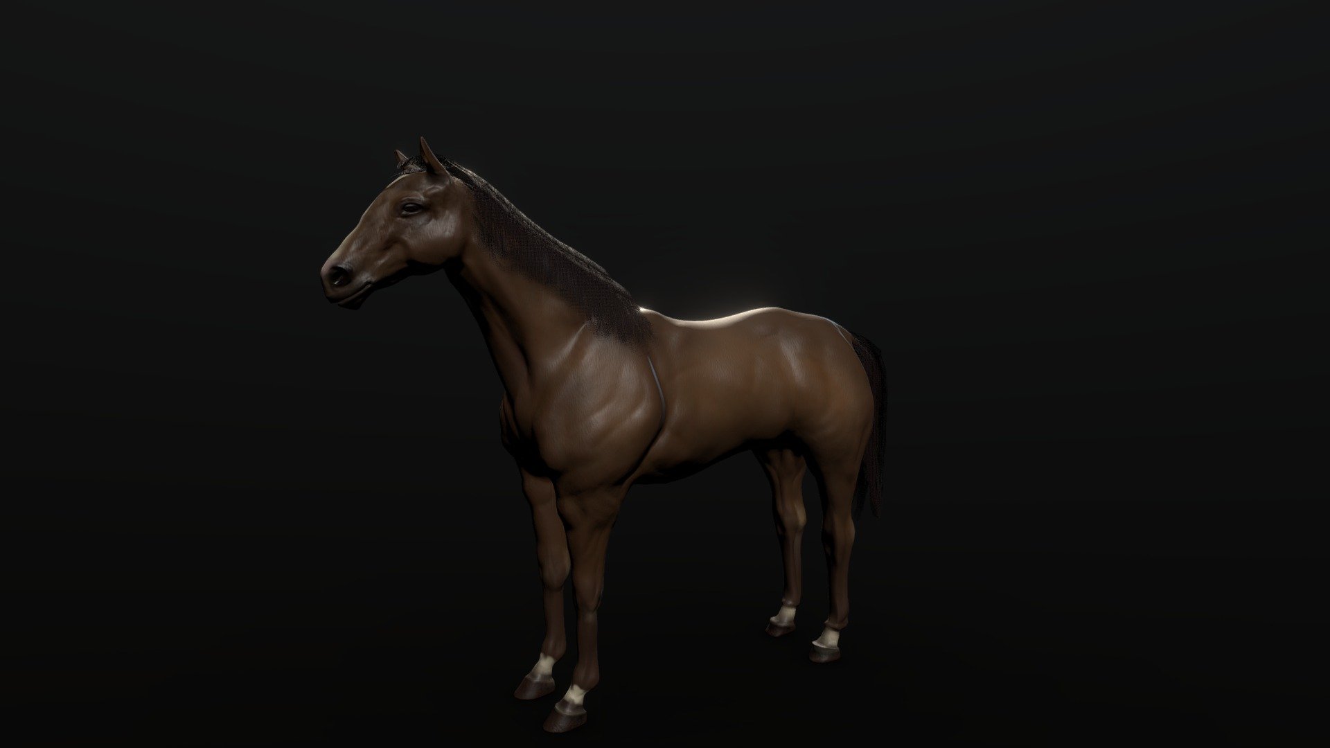Horse Med-High Poly WIP - 3D model by SwissCH [36b1c6a] - Sketchfab