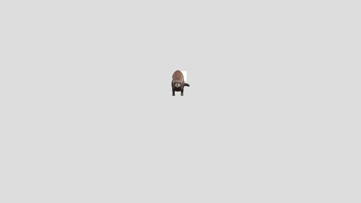 Hewan 3D models - Sketchfab