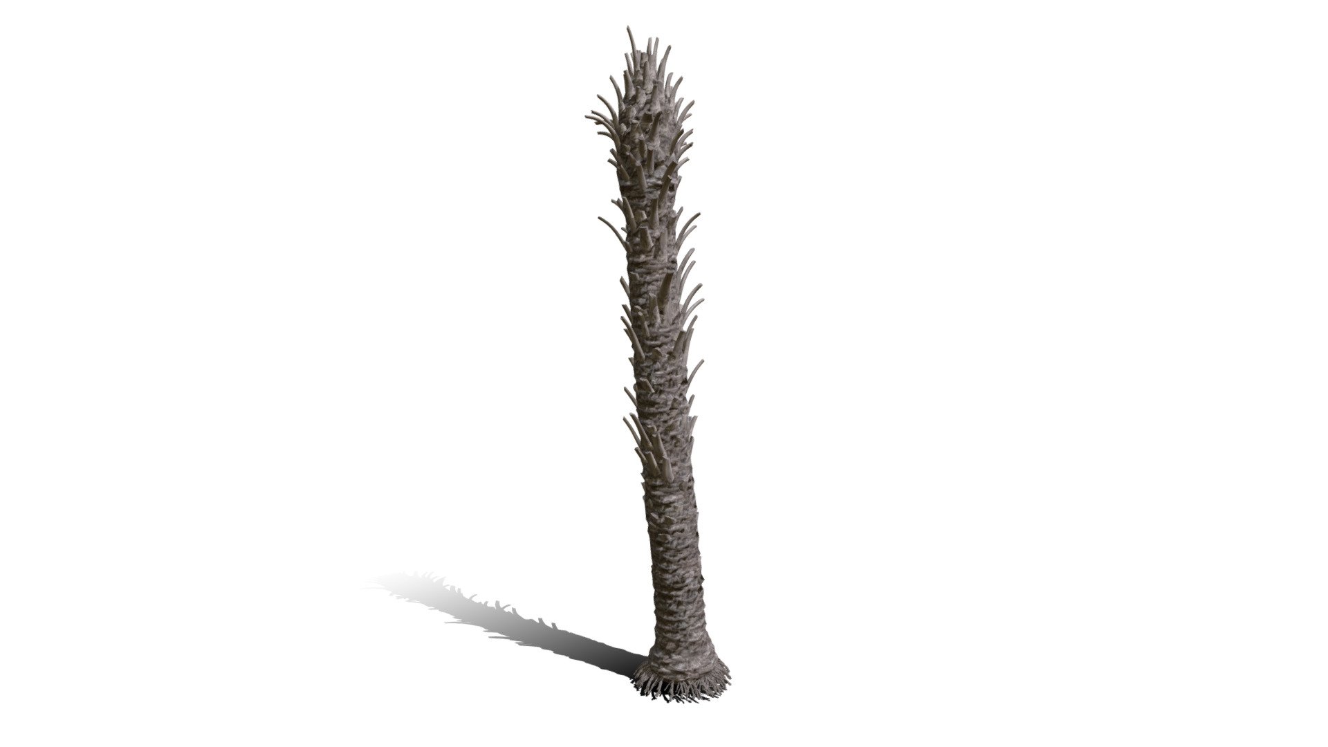 Realistic HD Date palm (71/78) - Download Free 3D model by PlantCatalog ...