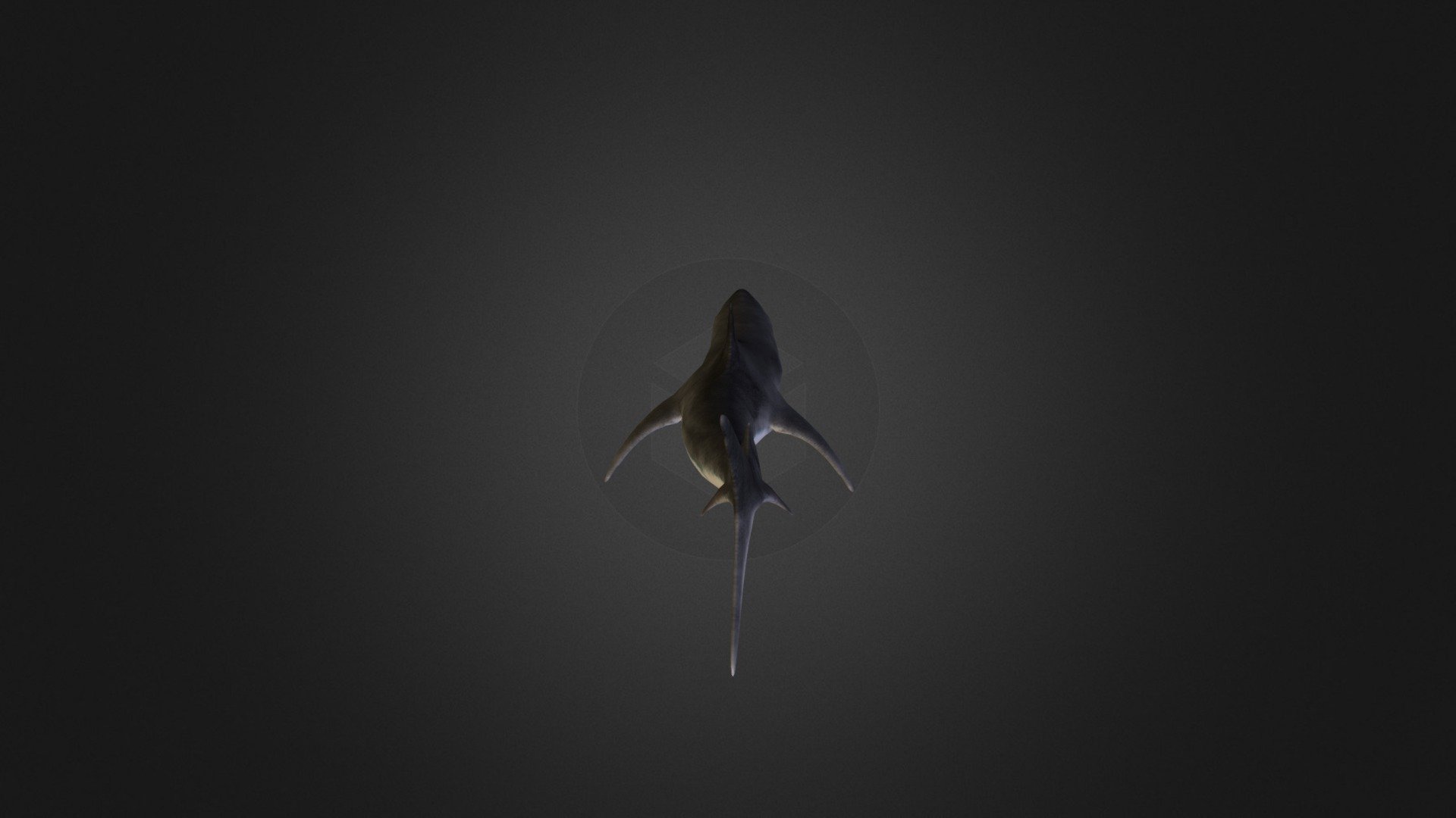 Maco Shark - 3D model by StathisNikou [36d3129] - Sketchfab