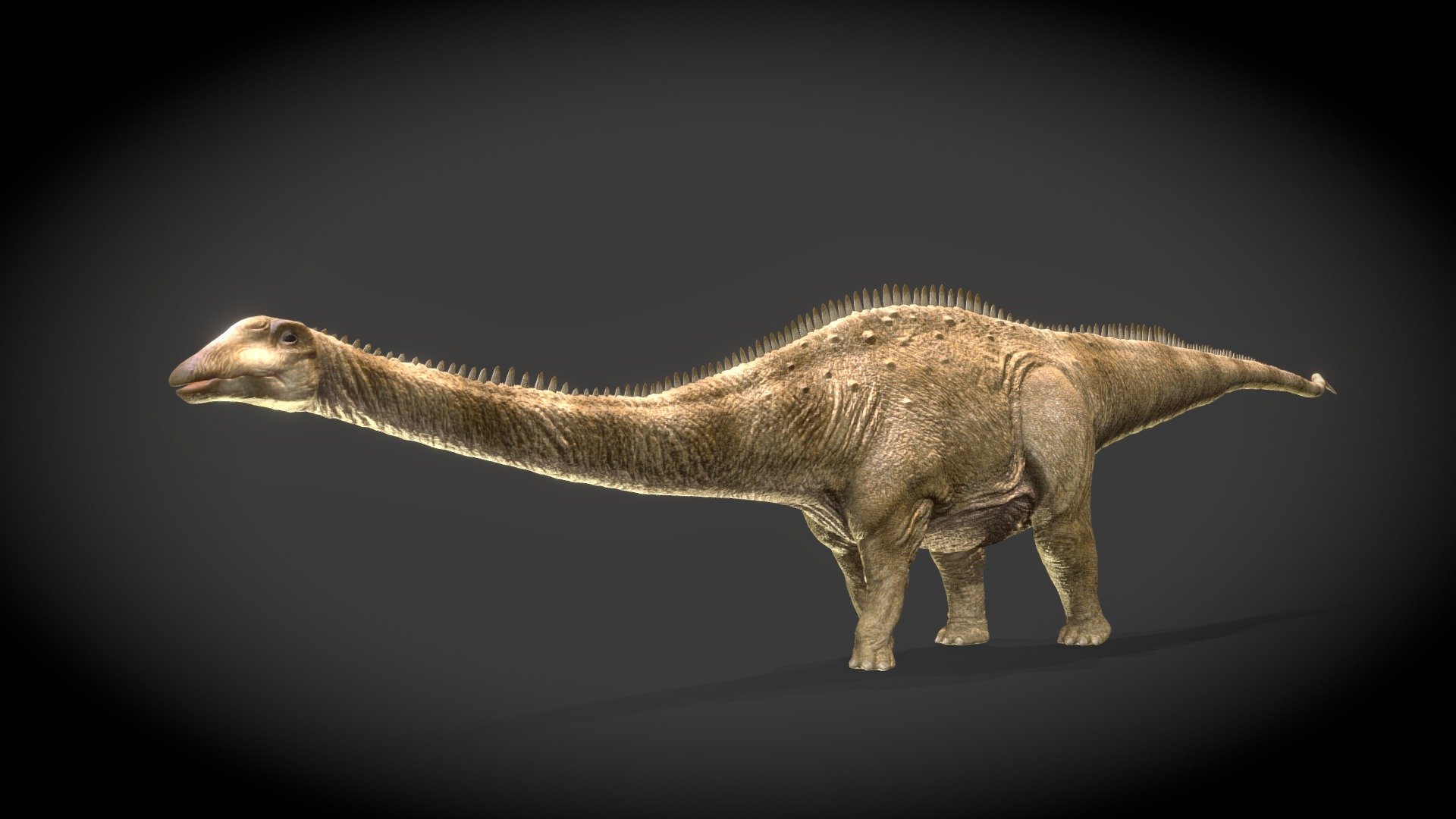 Diplodocus WWD fanart - 3D model by David RR (@david222) [36d4190 ...