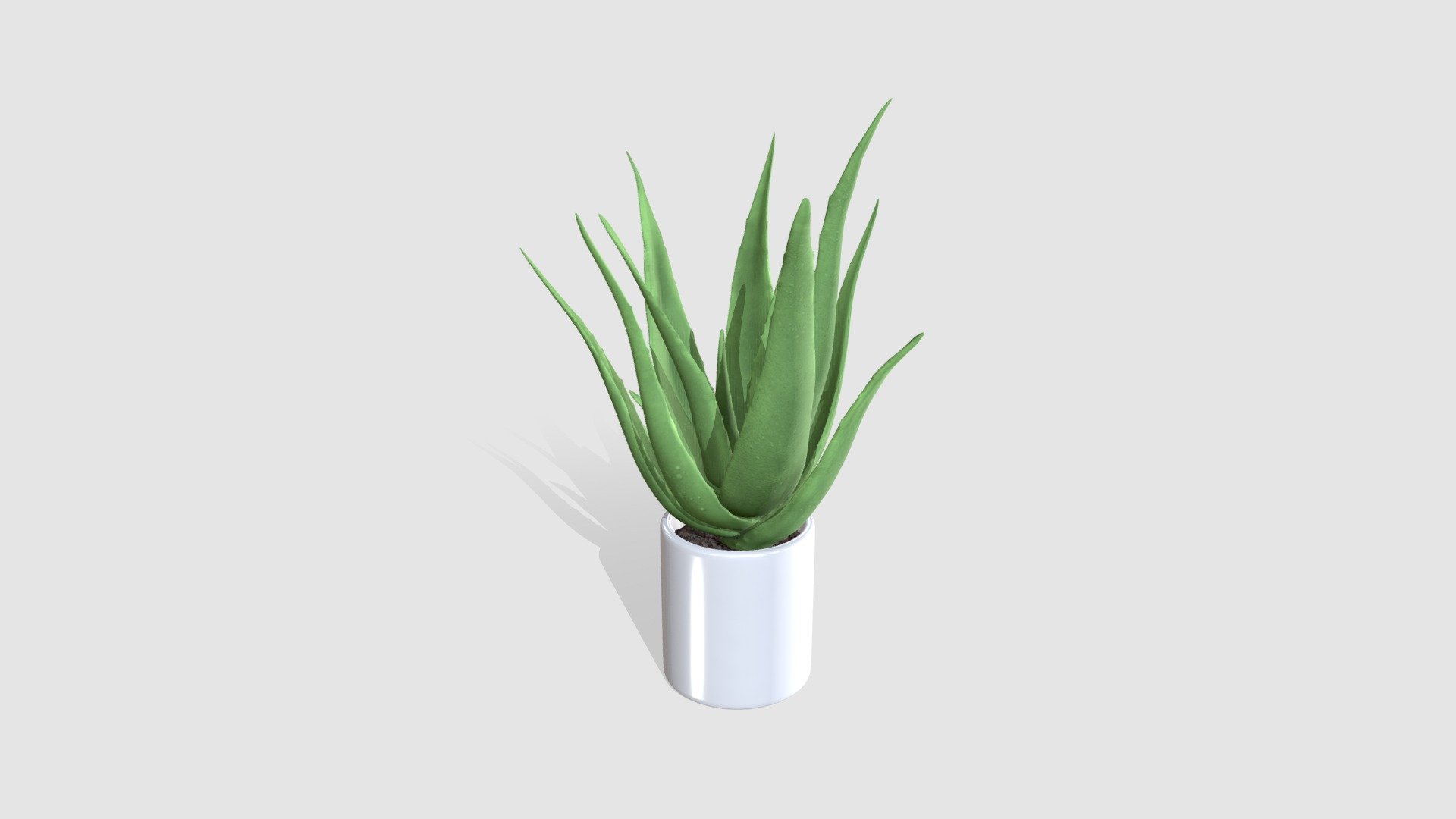 Aloe - Download Free 3D model by heyyodd [36d9e8b] - Sketchfab