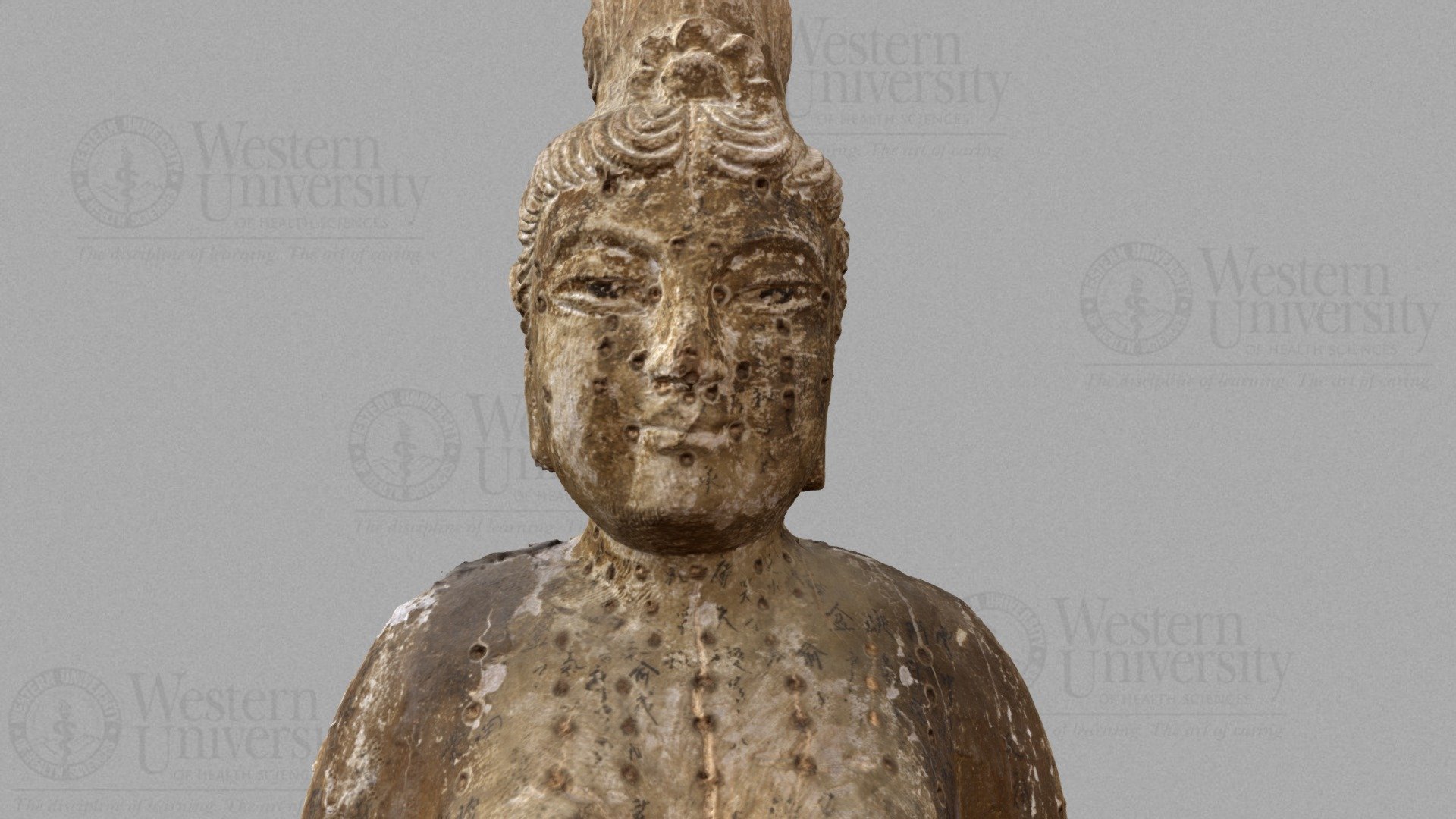 Wooden Acupuncture Statue - 3D model by WesternU3D [36d9ee5] - Sketchfab