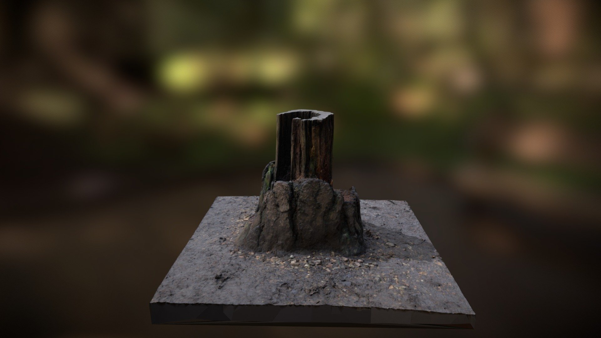 Tree Stump - Photogrammetry - 3D model by ScanCraft [36e3dbe] - Sketchfab