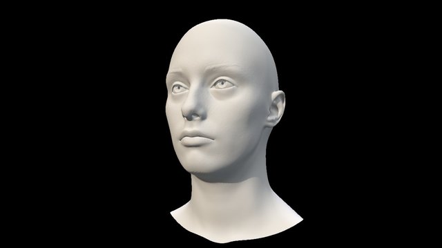 Anatomy-next 3D models - Sketchfab