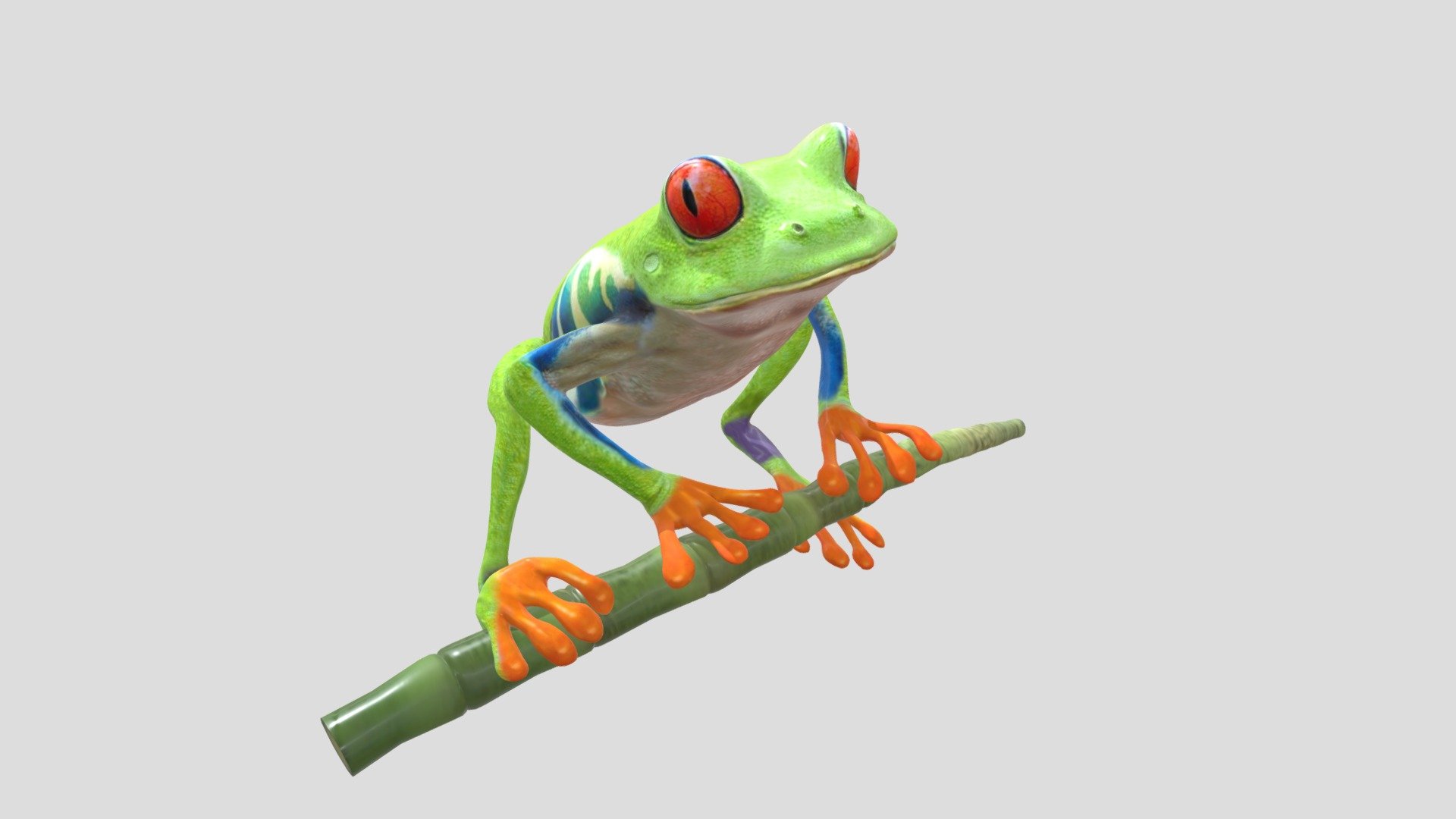 Frog amphibian - 3D model by Annie_3D (@LIU_CG) [36e983a] - Sketchfab