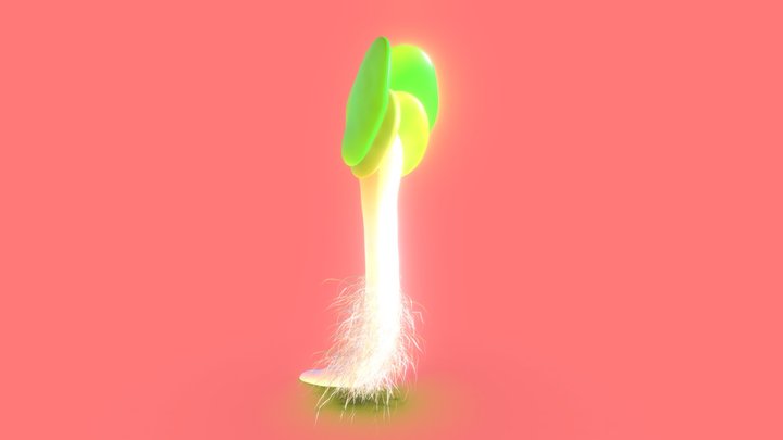 Photosynthesis 3D models - Sketchfab