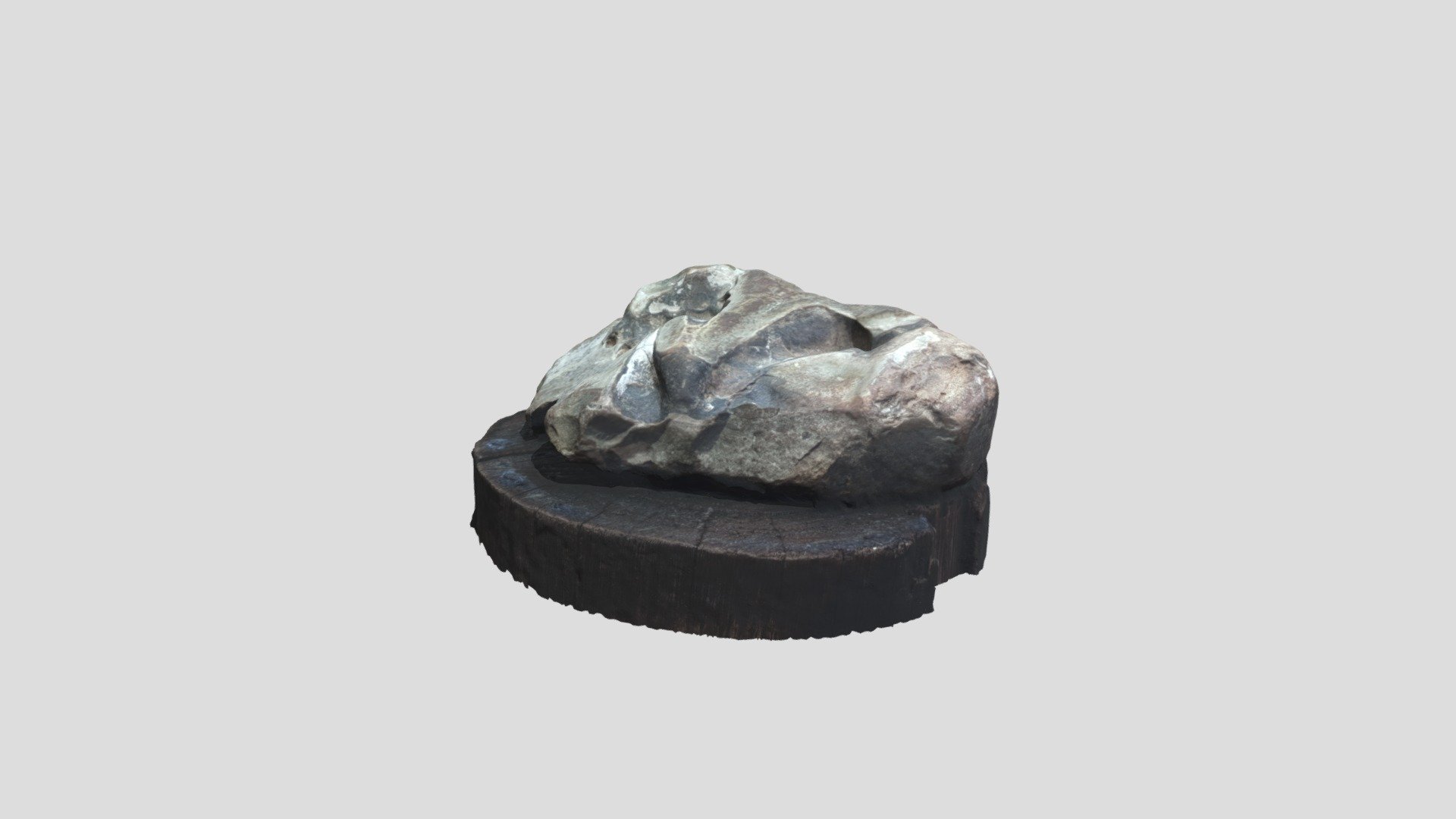 Lystrosaurous Fossil - 3D model by david_kinsler [36f9ff7] - Sketchfab