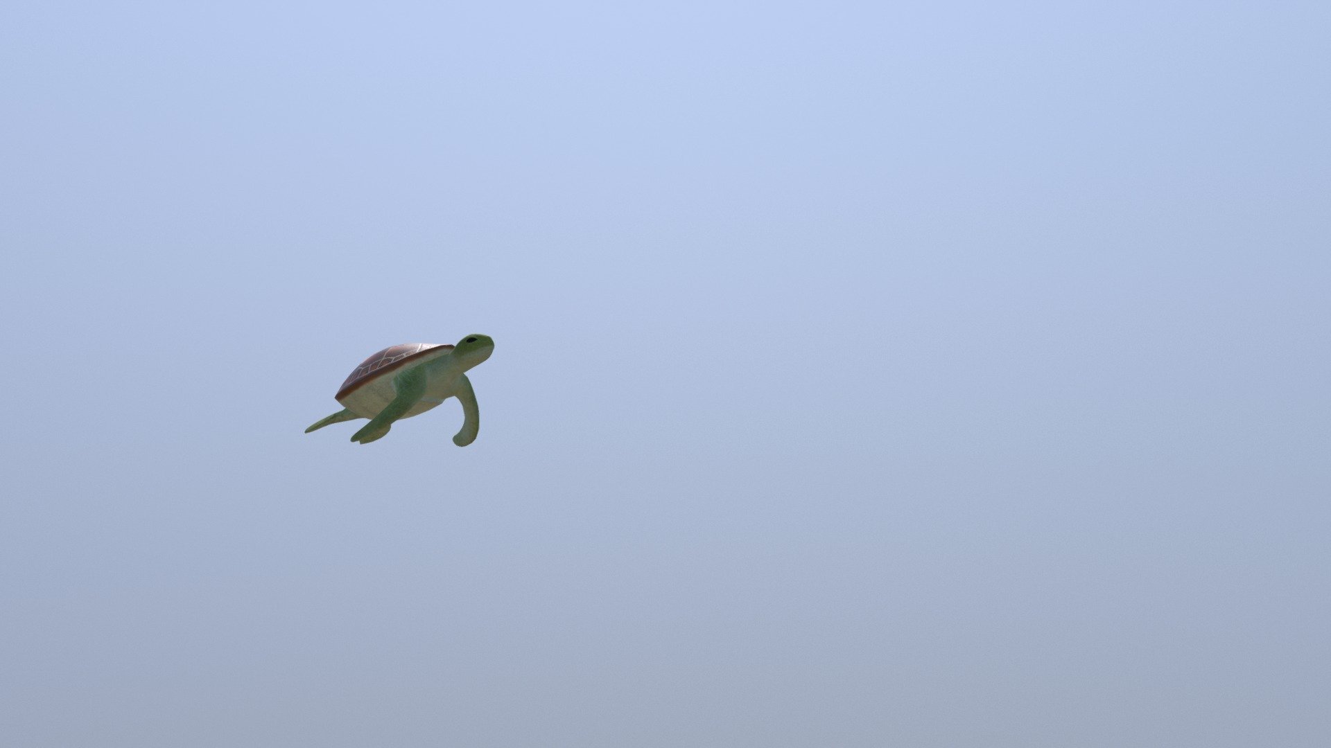 Sea Turtle Animation - 3D model by jakeshmearlof4 [36ff2c9] - Sketchfab