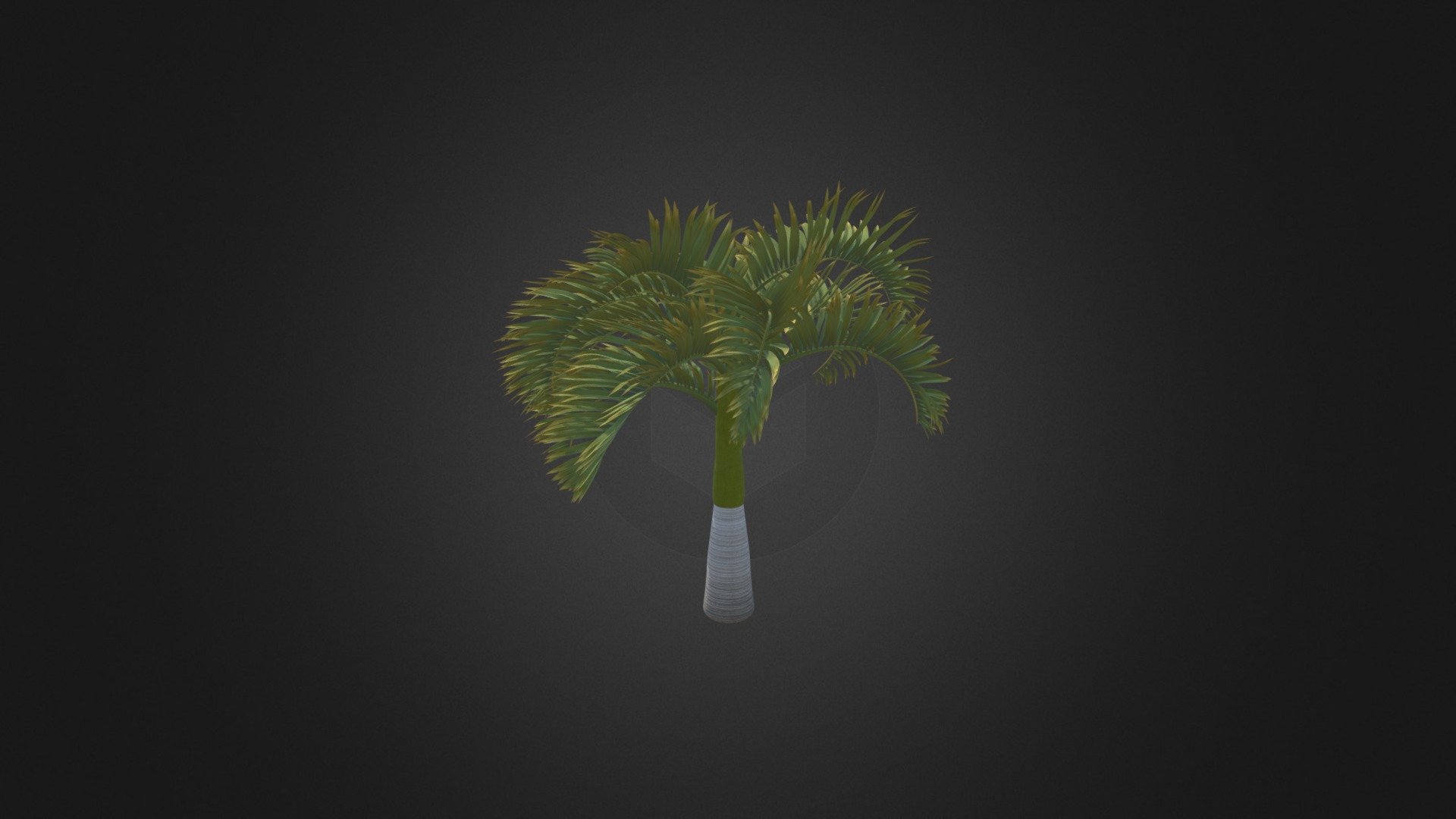 Christmas Palm Tree - Buy Royalty Free 3D model by cgaxis [36ff66c ...