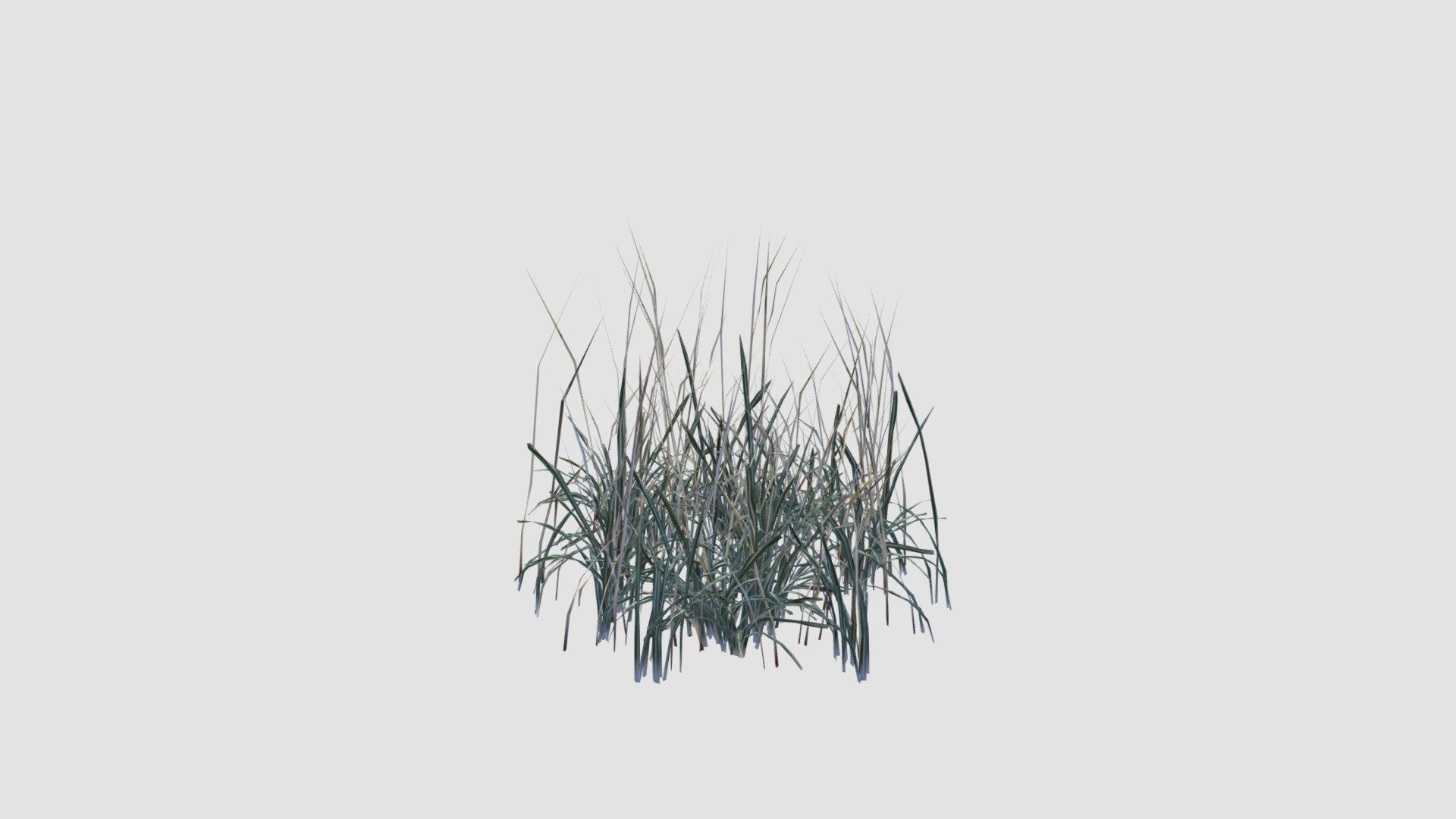 simple grass small - Buy Royalty Free 3D model by Evermotion [370286e ...