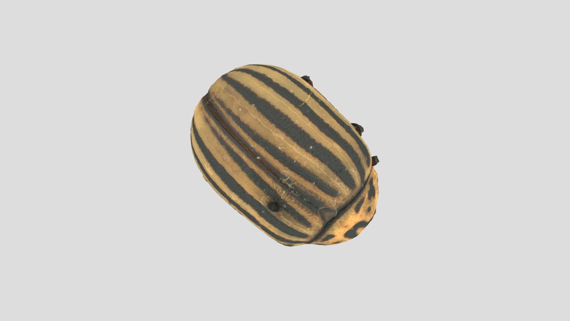 CPB TEST - 3D model by simonmax [37041ba] - Sketchfab
