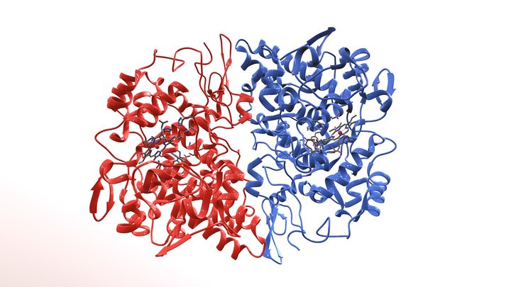 Ibuprofen 3D models - Sketchfab