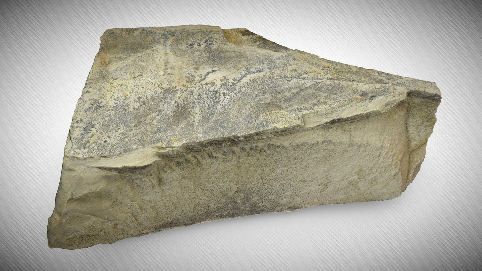Joints in Solnhofen Limestone 1, Germany - Download Free 3D model by ...