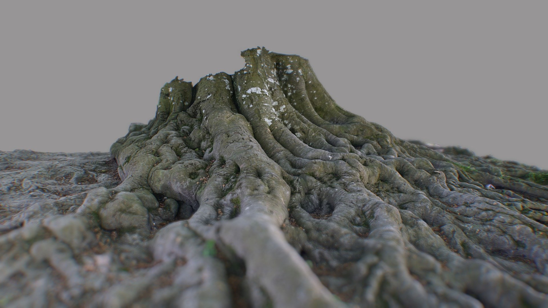 Avebury Roots - 3D model by scannerboy (@particlepusher) [3719c44 ...