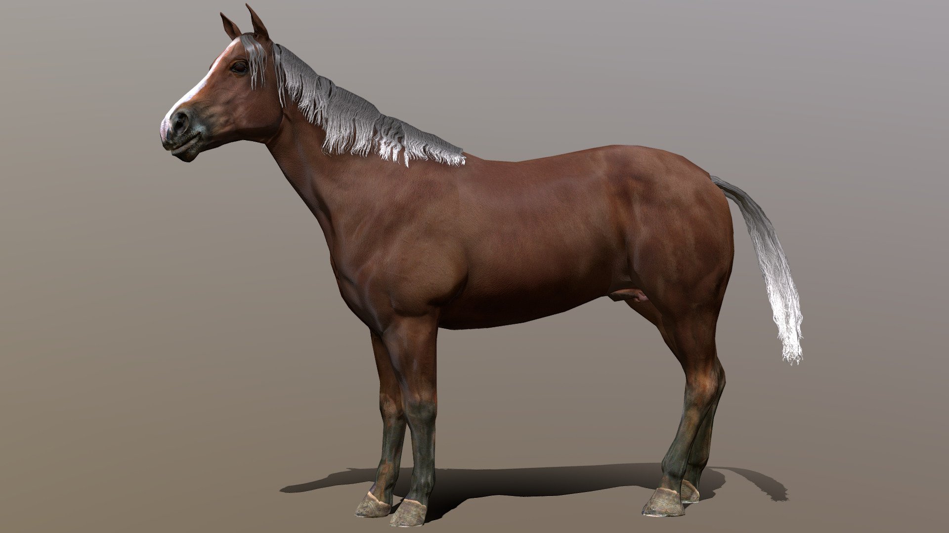 Horse Animated - Buy Royalty Free 3D model by Fujitora (@dubaakoor22 ...