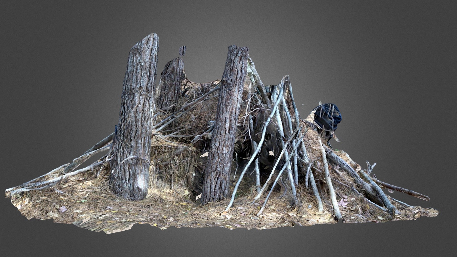 Collapsing Stick Fort - Download Free 3D model by Terrie Simmons ...