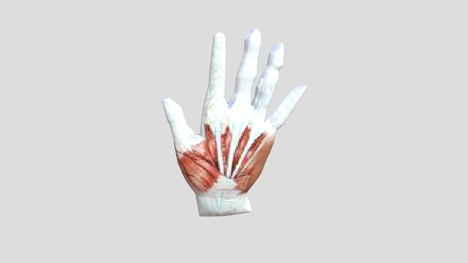 Tangan - Download Free 3D model by abulhadimaftuhin [373f2db] - Sketchfab
