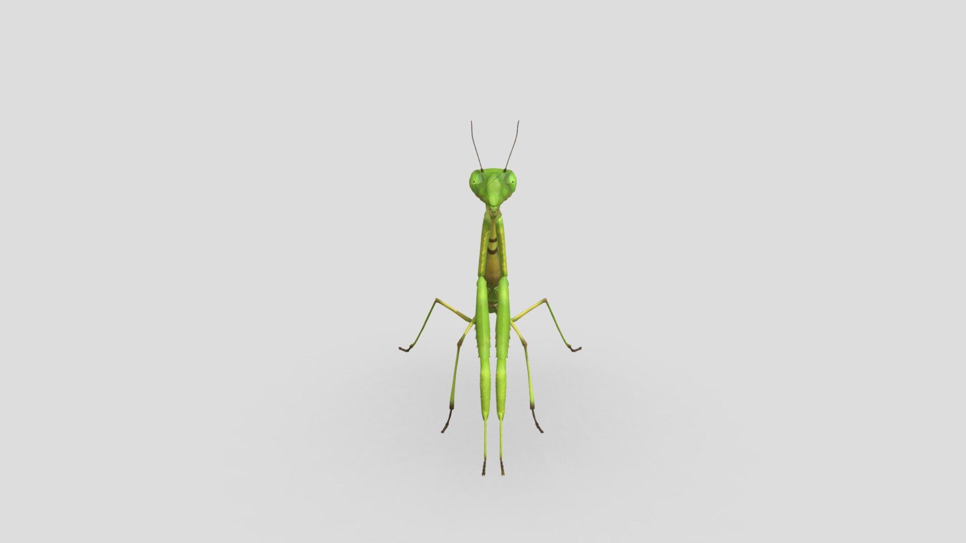 GrassHopper - 3D model by IACG [3747695] - Sketchfab
