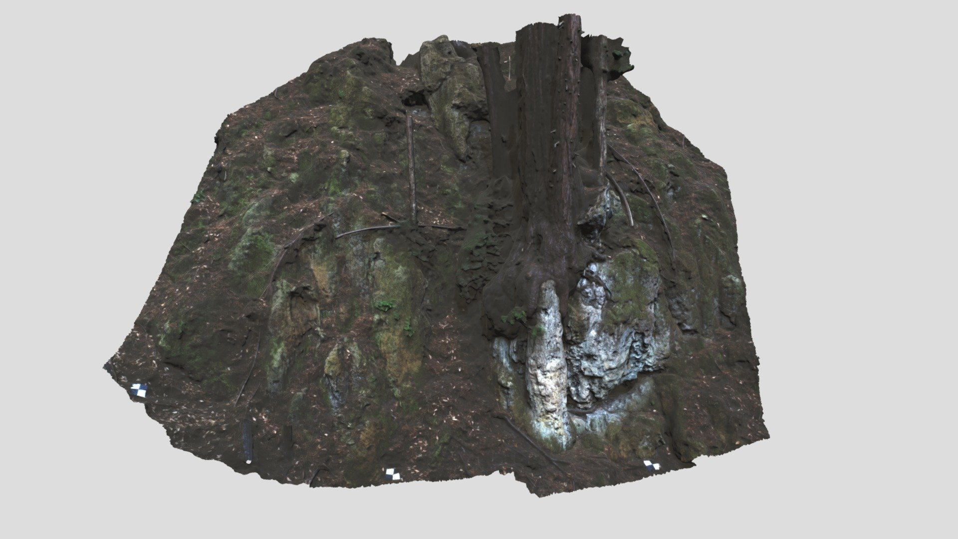 Henry Cowell Site Model - Download Free 3D model by wongalex [37540a4 ...