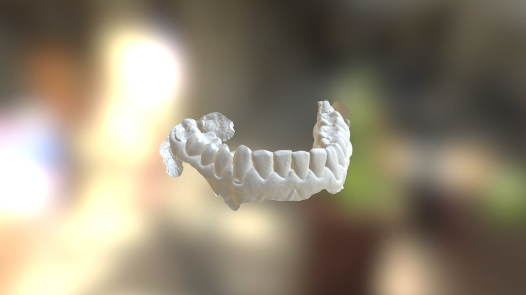 Houda Lower Jaw - Download Free 3D model by 💵5️⃣🅾️ (@USD50) [375b0b4 ...