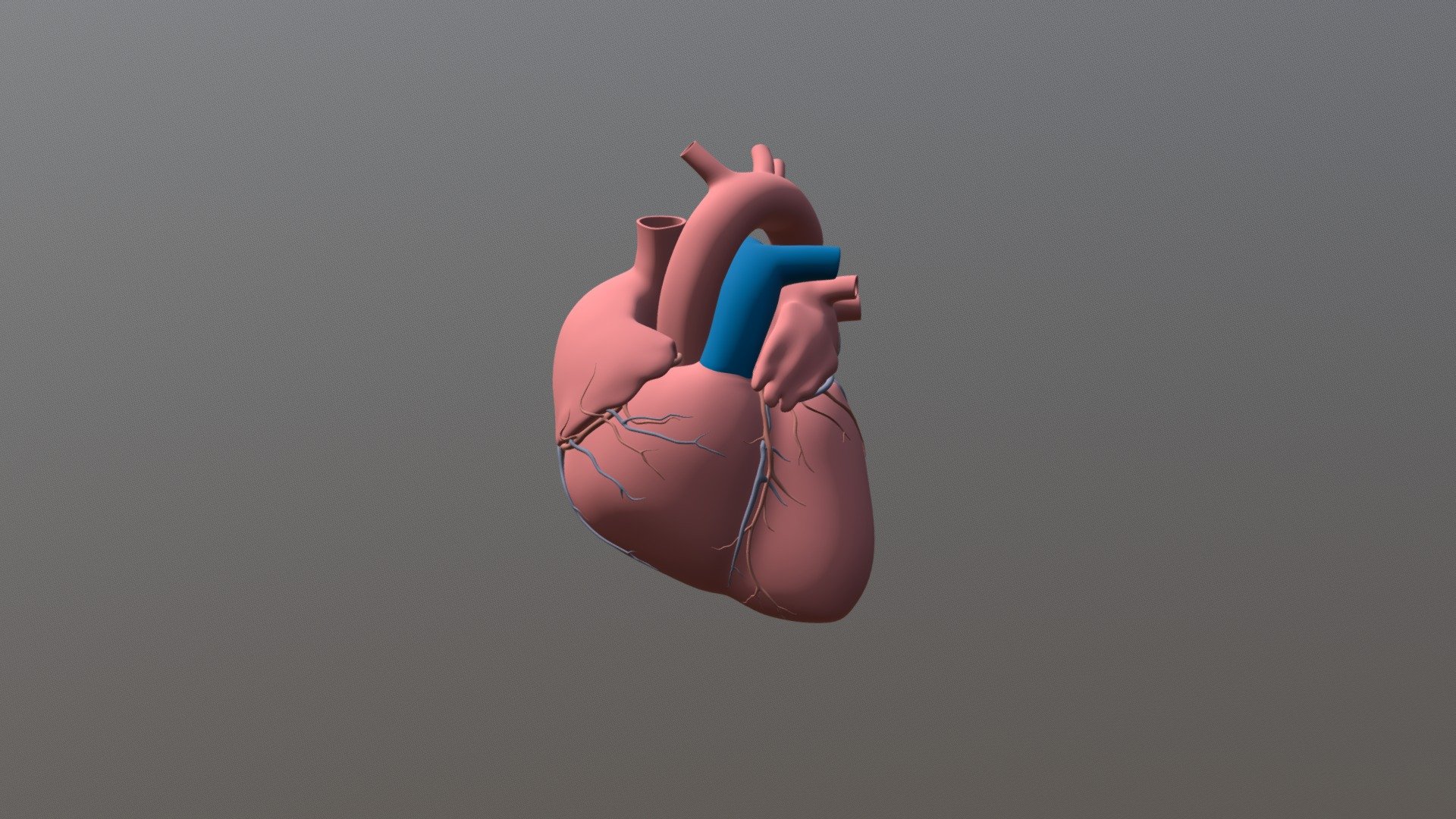 NEW FULL MODEL HEARTBEAT - 3D model by rscottriddle [376b0f0] - Sketchfab