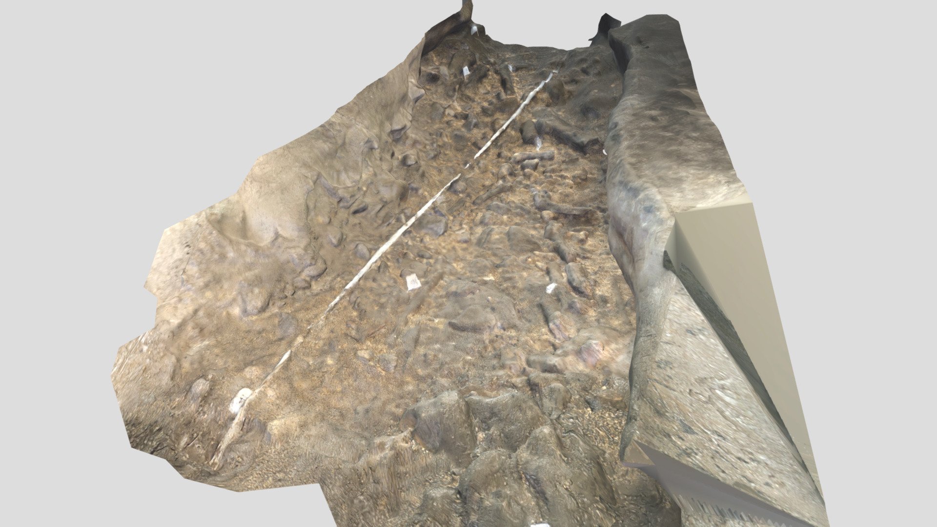 Fossil Gully in Muddy Crawl - 3D model by New England Explorers ...