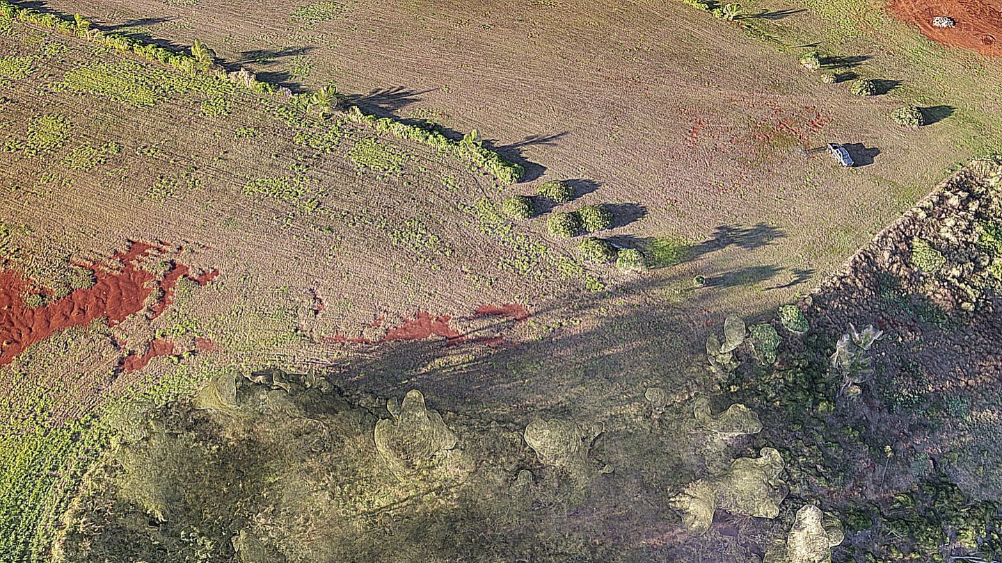 2016-3-28 Kauai Keiala Kei Lot 5 Pix4d 3d Mesh - 3D model by Clement T ...