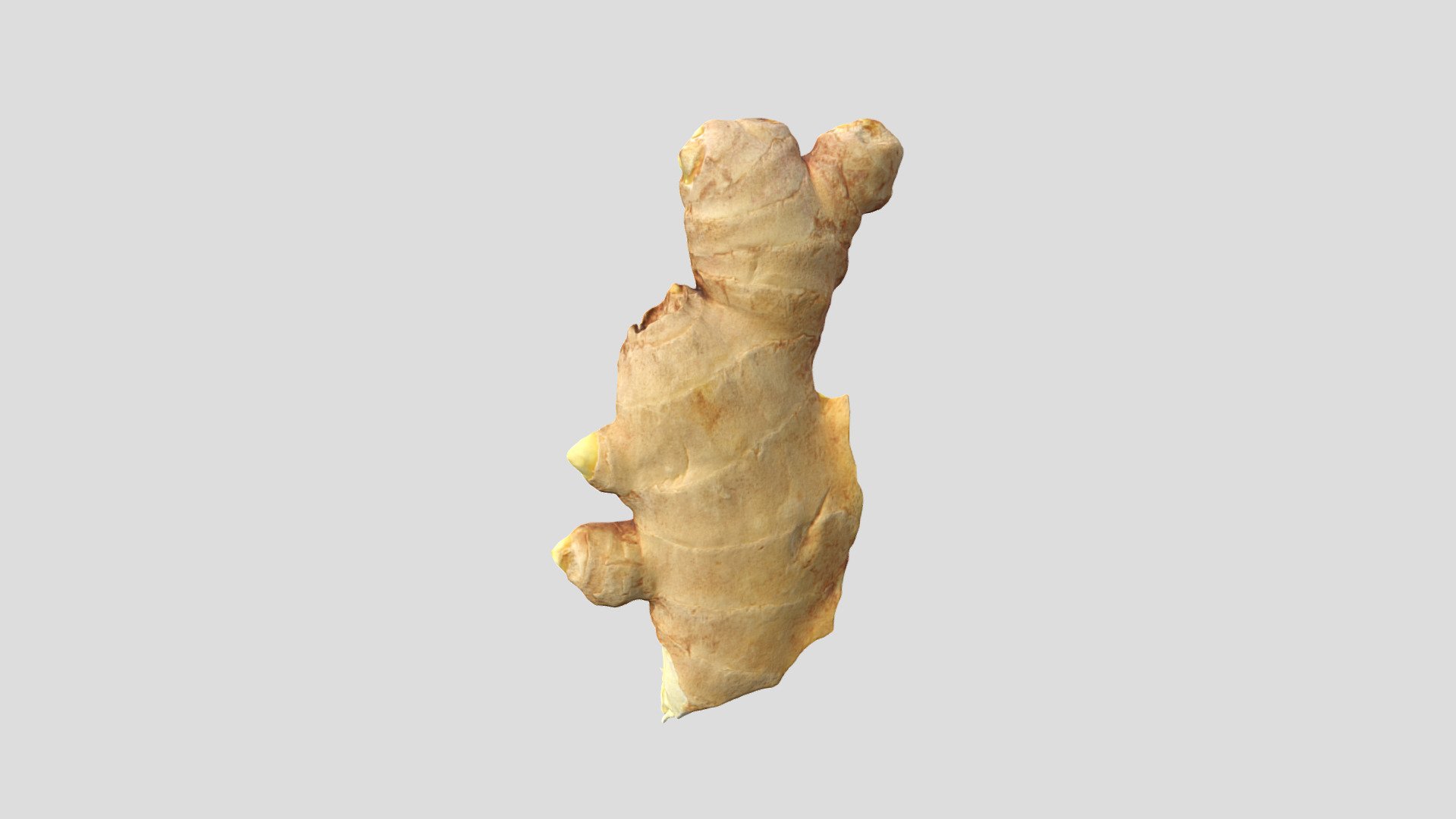 3D Scan - Ginger 2 - Buy Royalty Free 3D model by SavingThrw [3777c1c ...