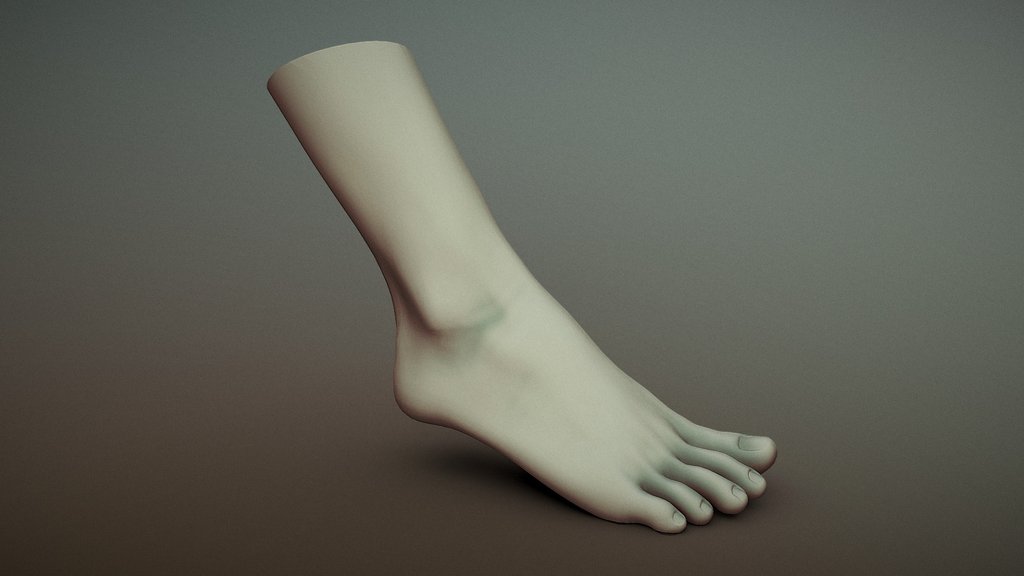 foot - A 3D model collection by Tetetetetttt - Sketchfab