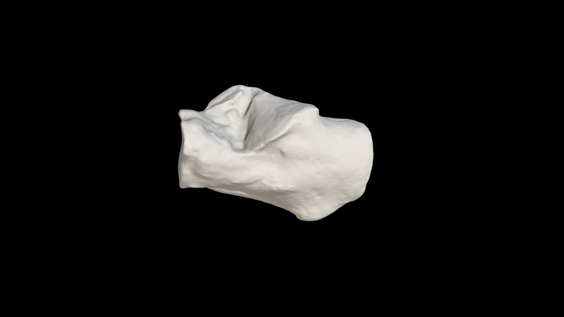 Human Calcaneus - Download Free 3D model by Eric Bauer (@ebauer4 ...