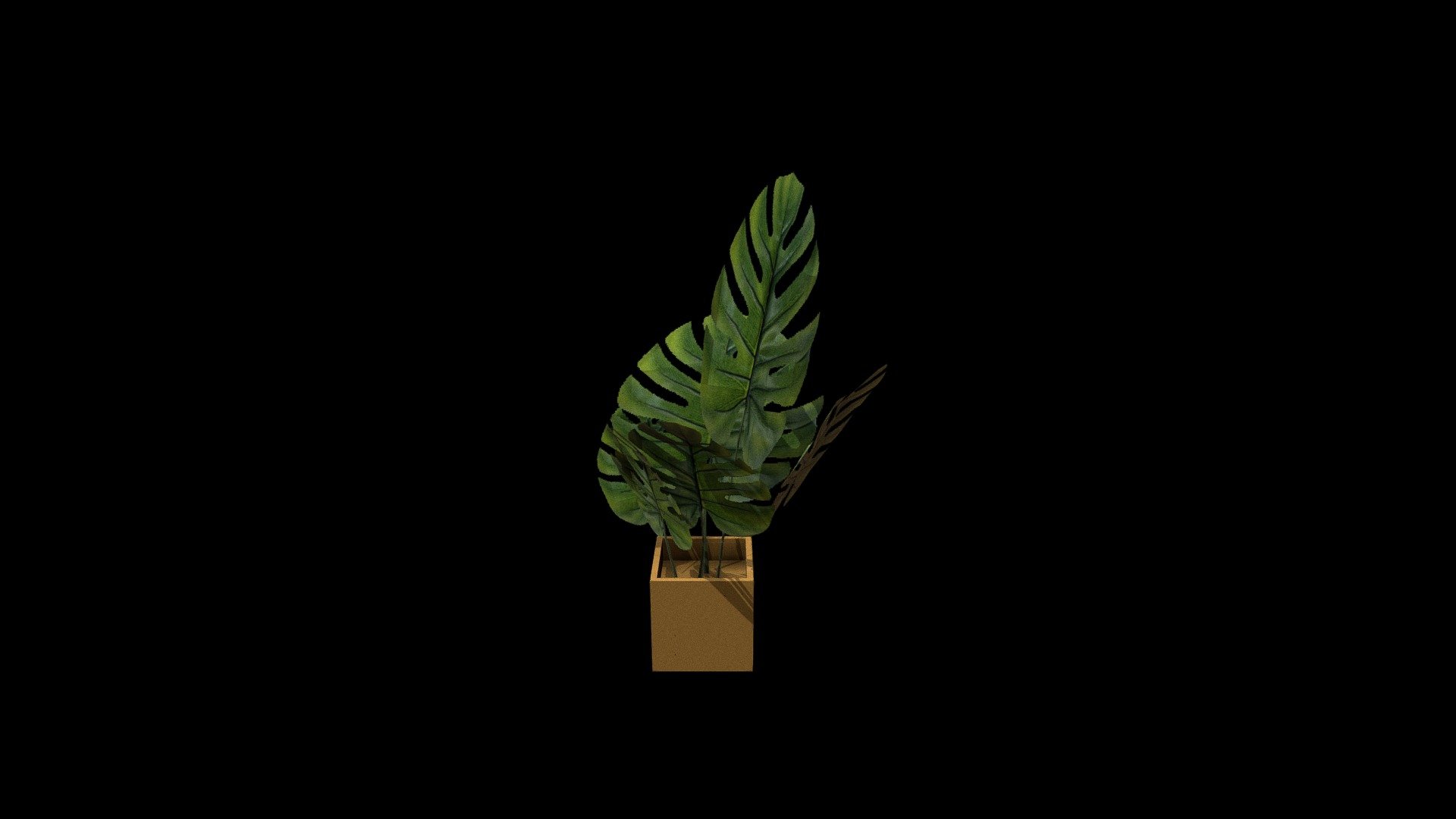 plant - 3D model by AmbervanMaren [378b9ba] - Sketchfab