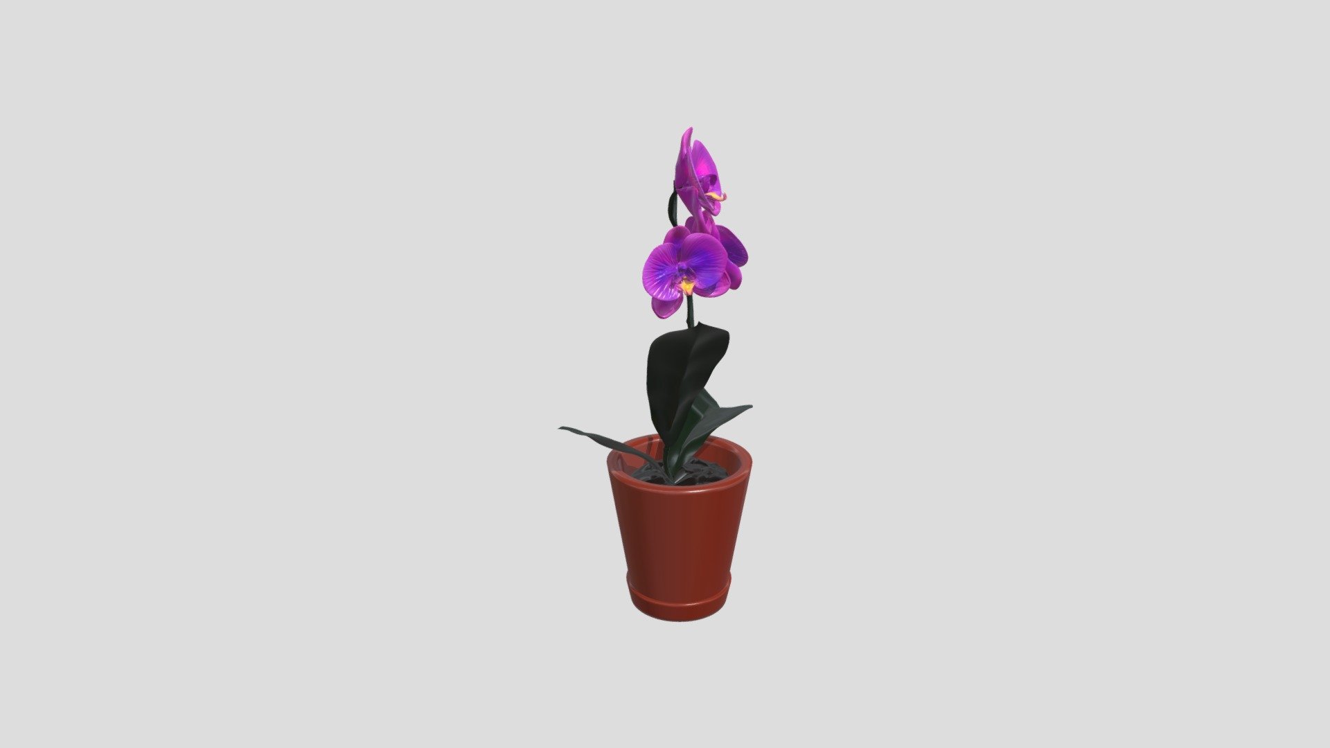 Orchid - 3D model by Waterlillyillustration [378ea13] - Sketchfab