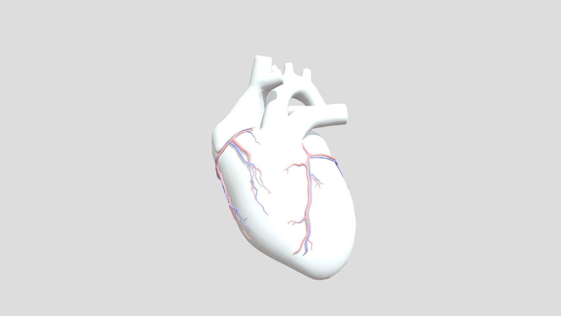 Normal - 3D model by CCHMCMediaLab [3794f03] - Sketchfab