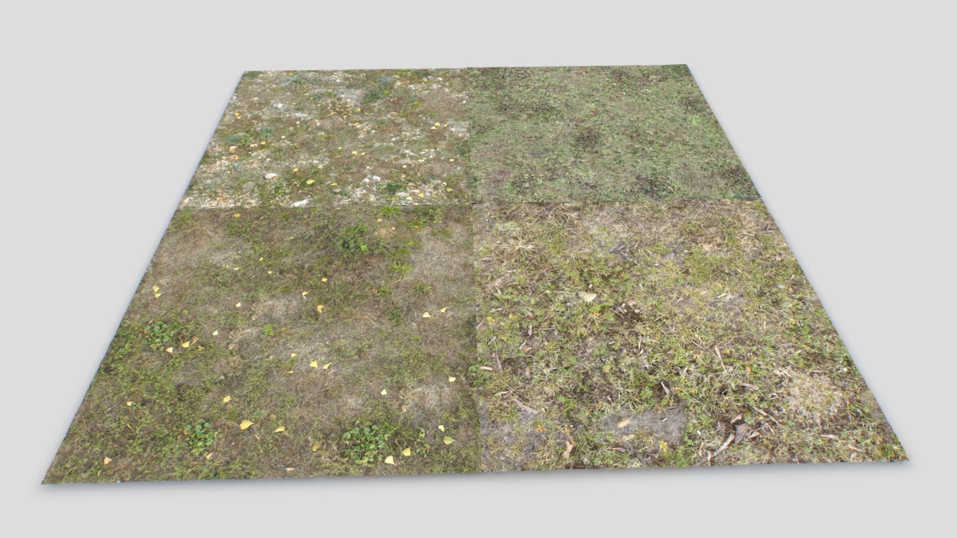 Ground terrain forest tundra PBR pack 5 - Buy Royalty Free 3D model by ...