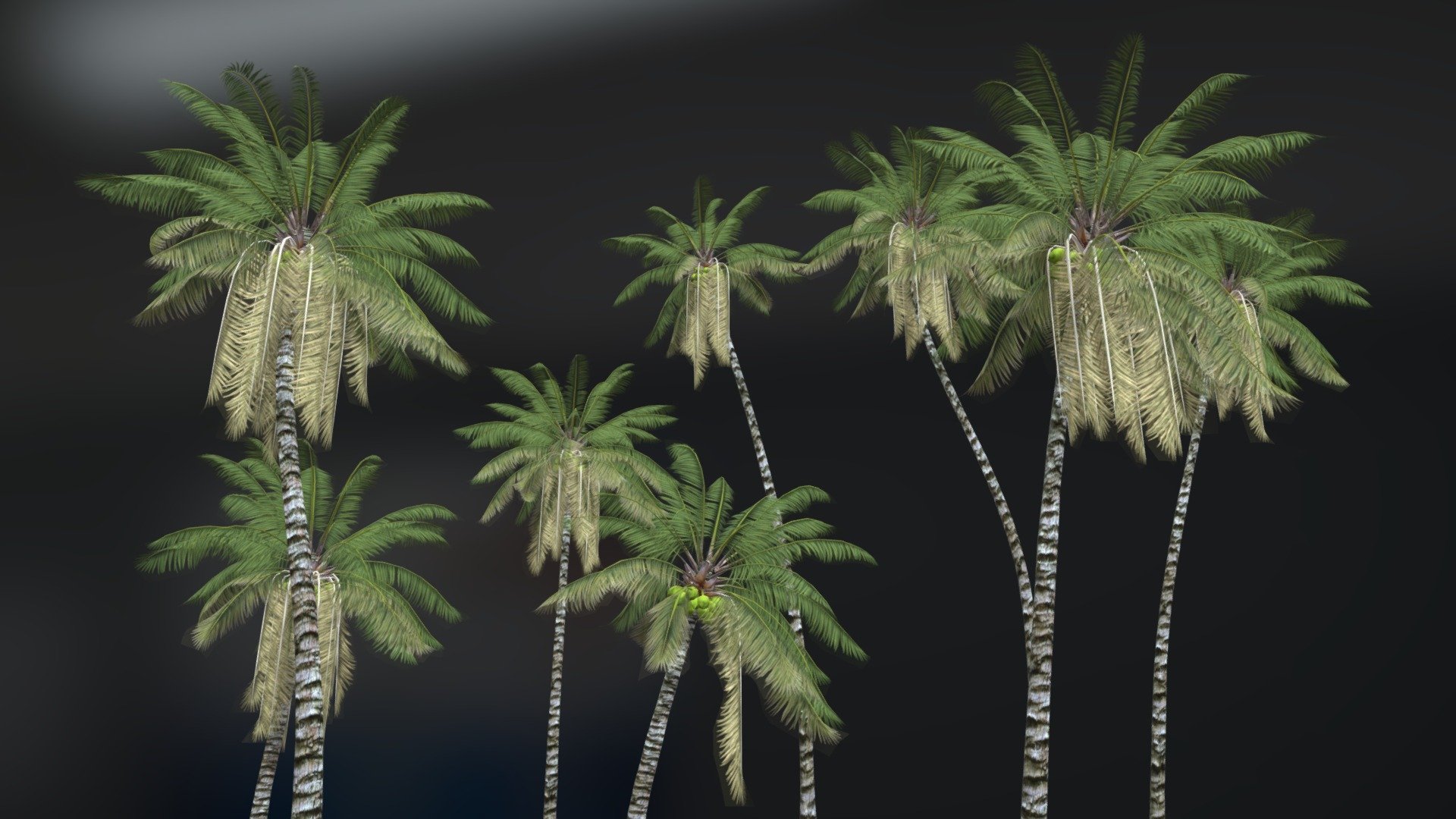 MANY COCONUT TREES IN ANIMATION - Buy Royalty Free 3D model by PATH ...