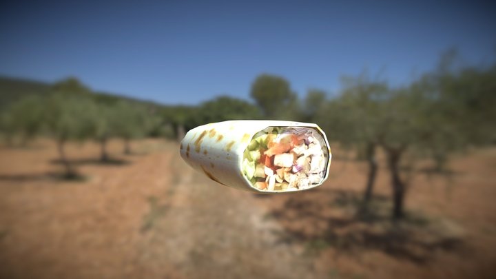 Shawarma 3D models - Sketchfab
