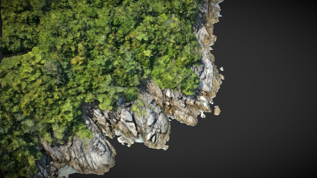 TREES_FOREST - A 3D model collection by eubrunopallino - Sketchfab
