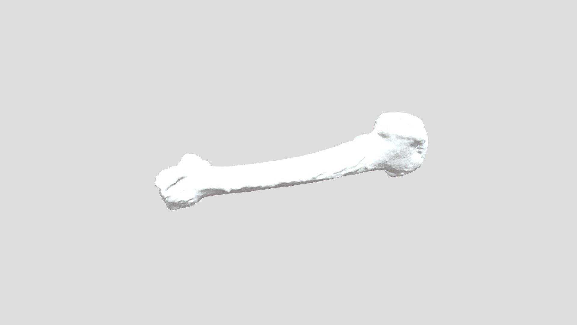 Pongo_male_mec2 - 3D model by Museo virtual de Antropología - UCM ...