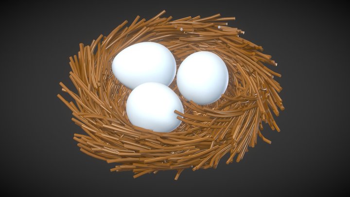 Nest 3D models - Sketchfab