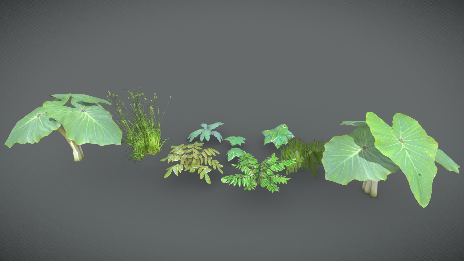 Low Poly Plants - 3D model by Lundi CG Art (@DeonCoke) [37b126d ...