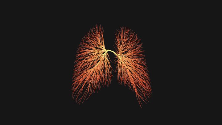 Unfold 3D models - Sketchfab