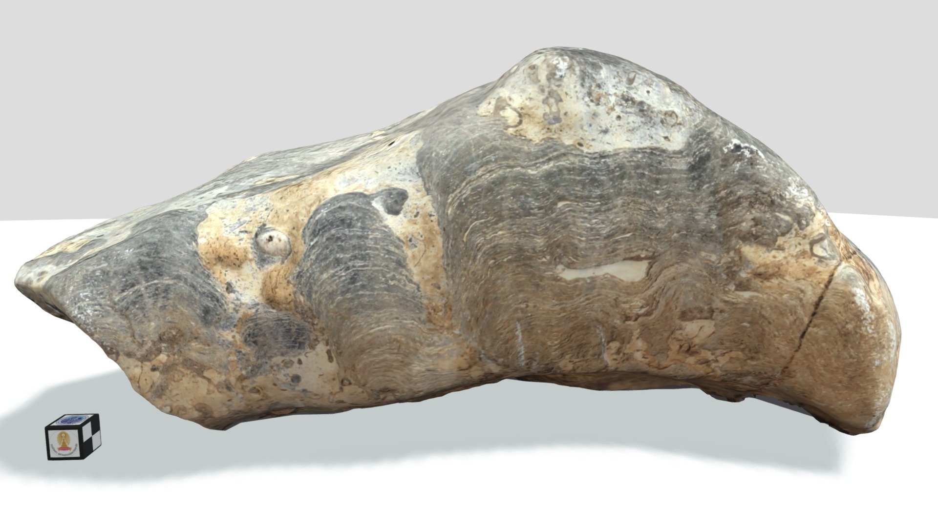 สโตรมาโตไลต์ (Stromatolite) - 3D model by Sukonmeth (@vrgeology ...