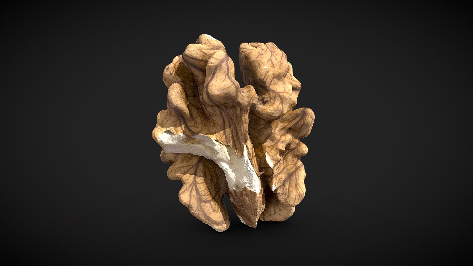 Walnut kernel - Download Free 3D model by Archive RO_BG (@goshes ...