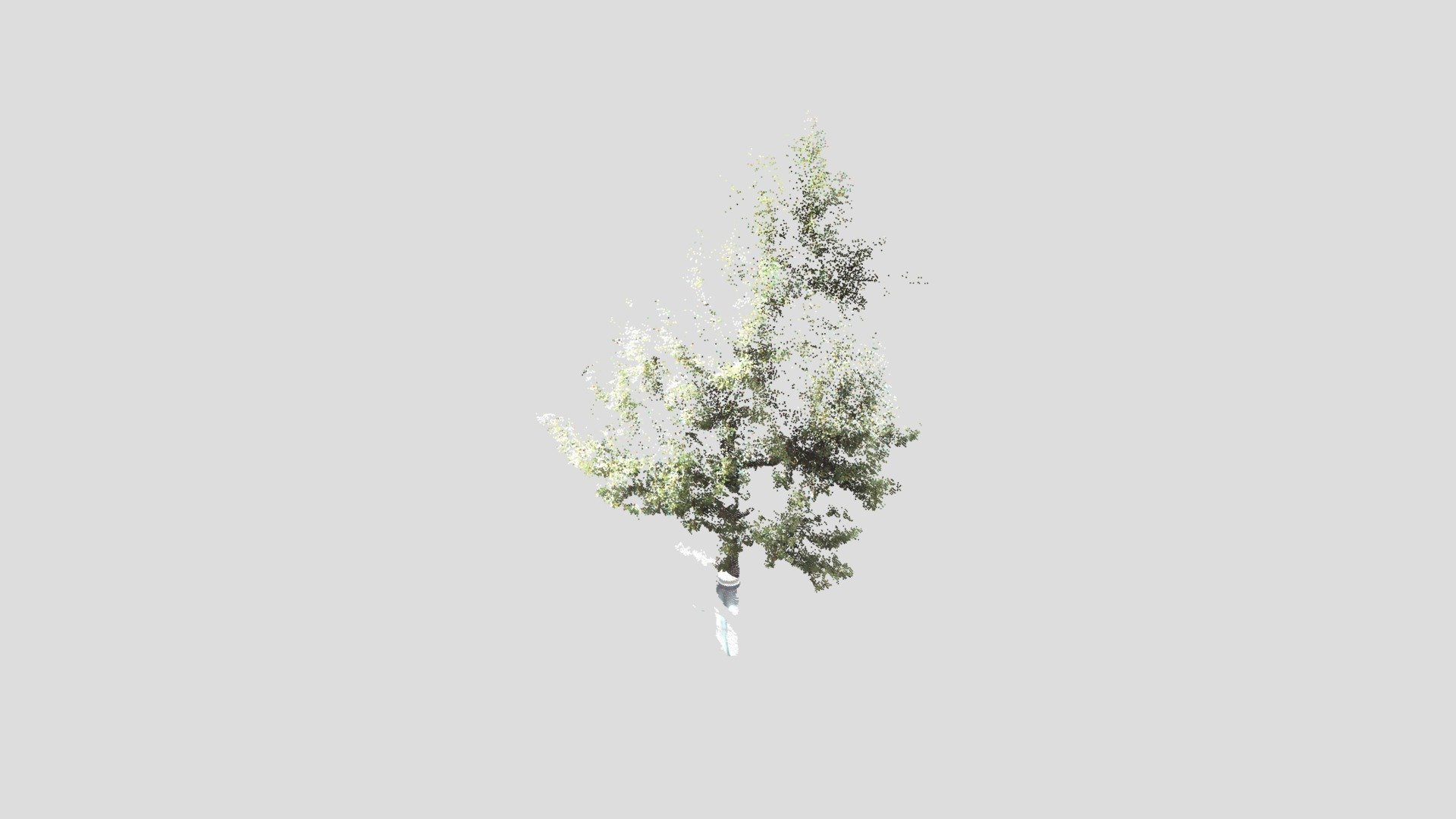 tree7-pointcloud - 3D model by Nodai_Kunii_Lab (@mmsroadsidetree) [37beee4] - Sketchfab