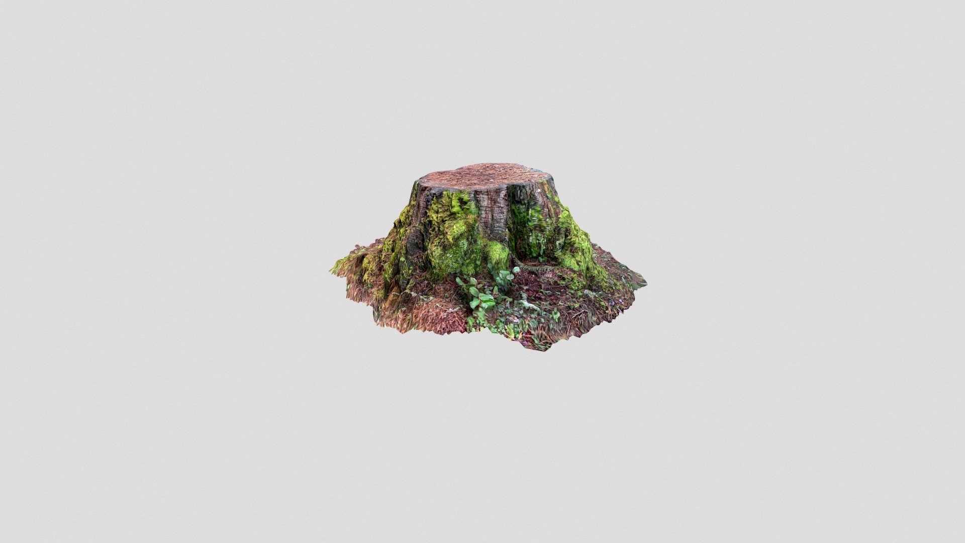 GENUINE tree stump from Azalea, Oregon - Download Free 3D model by alvr ...