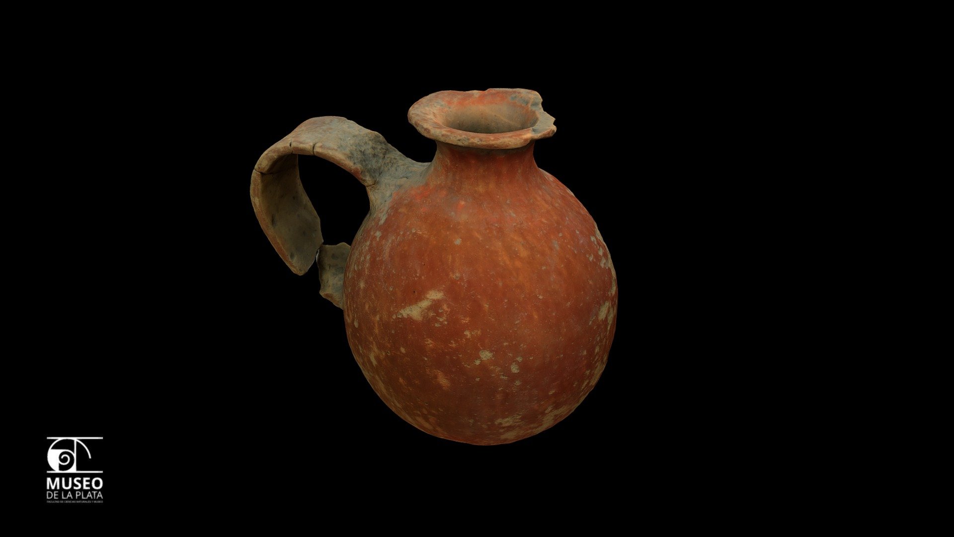 MLP-Ar-BMB-12903 - 3D model by Museo de La Plata, Argentina (@museolp ...